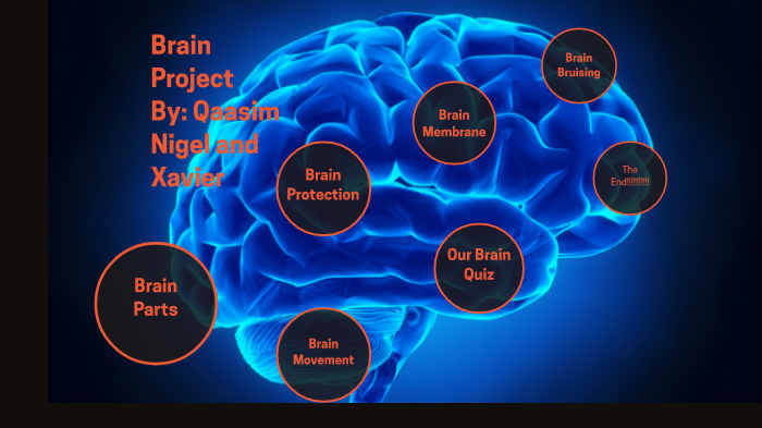 Brain Project by Qaasim Ali on Prezi