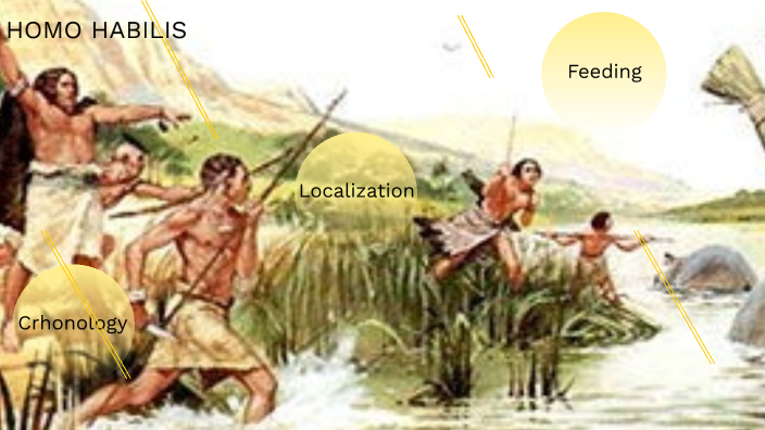 HOMO HABILIS by Alexander Díaz exposito on Prezi