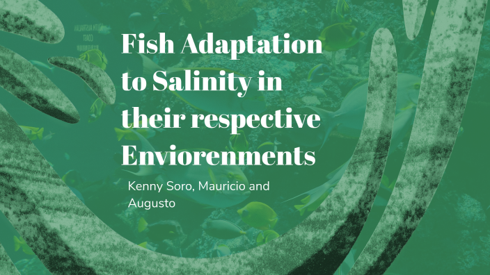 Fish Adaptation to Salinity by Kenny Soro on Prezi