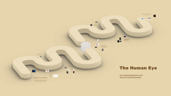 The Human Eye by soheil farsi on Prezi