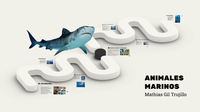 ANIMALES MARINOS by Mathias Alexander GIL TRUJILLO on Prezi