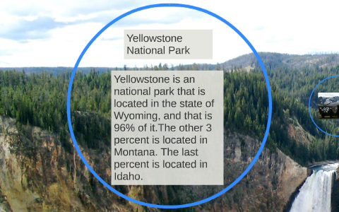 Yellowstone National Park Food Web by Brooke Thomas on Prezi