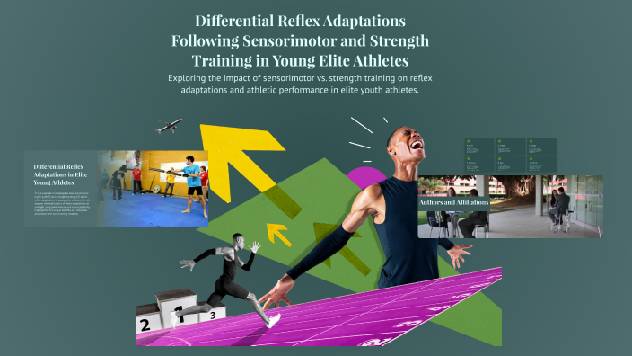Differential Reflex Adaptations Following Sensorimotor and Strength ...