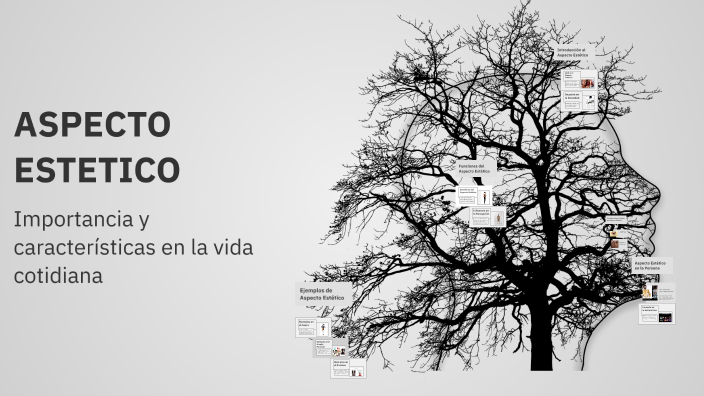 ASPECTO ESTETICO by Jessica Cruz Garc a on Prezi