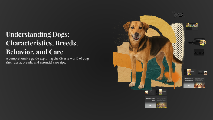 Understanding Dogs: Characteristics, Breeds, Behavior, and Care by Test ...