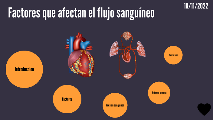 Factores que afectan el flujo sanguíneo by Pía Aqueveque on Prezi Factores que afectan el flujo sanguíneo by Pía Aqueveque on Prezi