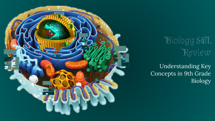 Biology SOL Review by Julie Stec on Prezi