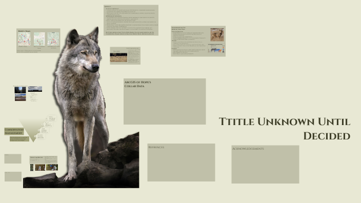 Educational Life Map of the Mexican Gray Wolf by Chloe Ferraro on Prezi