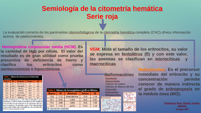 Semiología de la citometría hemática by sheila pñlz on Prezi