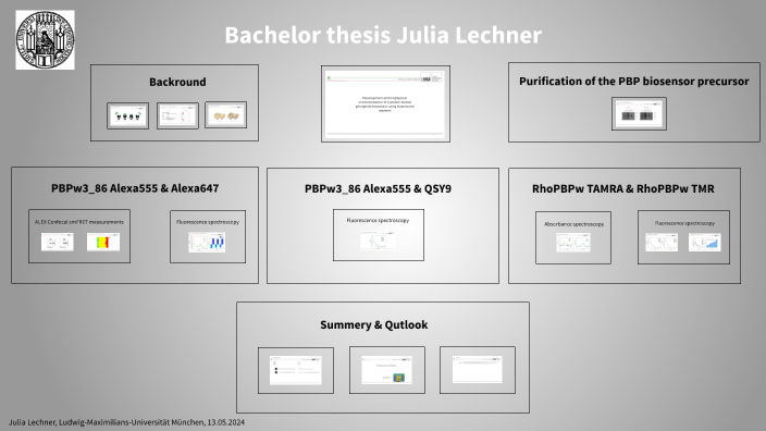 Bachelorthesis Julia Lechner by Alex Schneeberger on Prezi