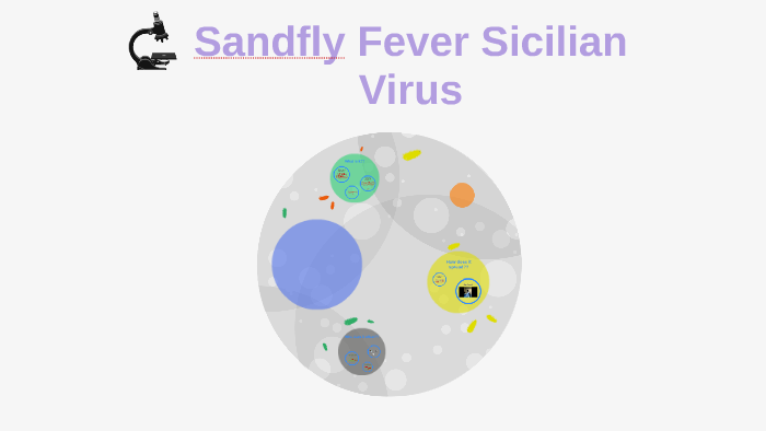 Sandfly Fever Sicilian Virus by Tatyana Butler on Prezi