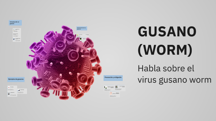 GUSANO (WORM) by Sebastian Quintero on Prezi