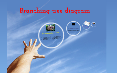 branching tree diagram by Kellen Reinsch on Prezi