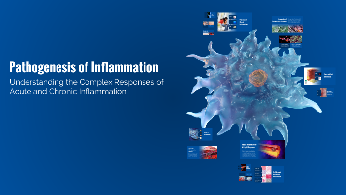Pathogenesis of Inflammation by Asmaa Omran on Prezi