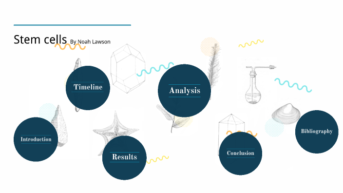 Stem cells and why they are the most importent scientific discovery in ...