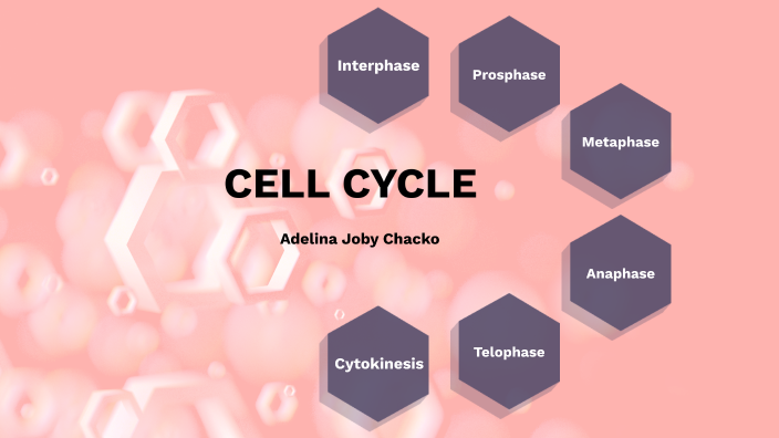 Cell cycle by Adelina Joby Chacko on Prezi