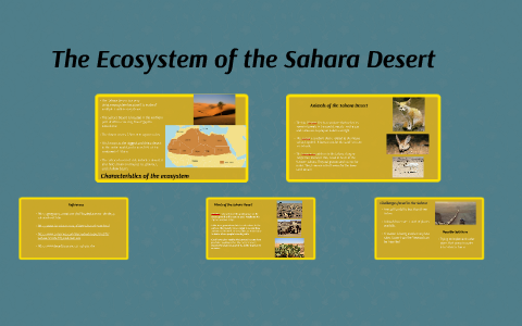 The Ecosystem of the Saharan Desert by dillon farrar on Prezi