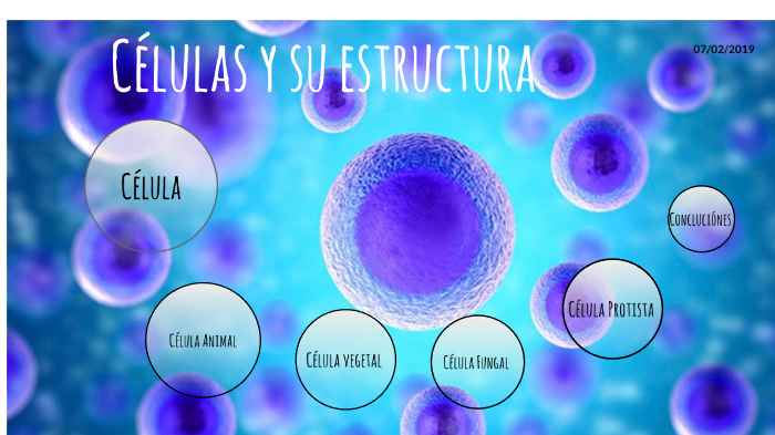 Tipos de céluas by Julián Esparza on Prezi