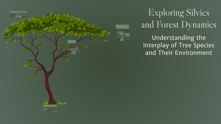 Exploring Silvics and Forest Dynamics by Candace Goodwin on Prezi