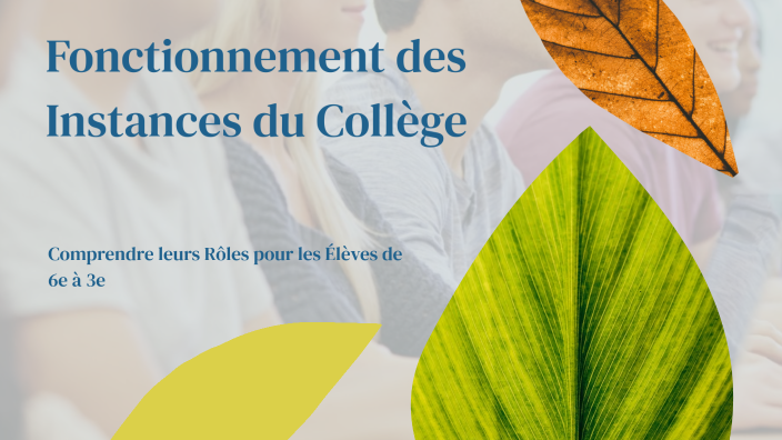 Le fonctionnement des instances du collège by Julien CHARNAUD on Prezi