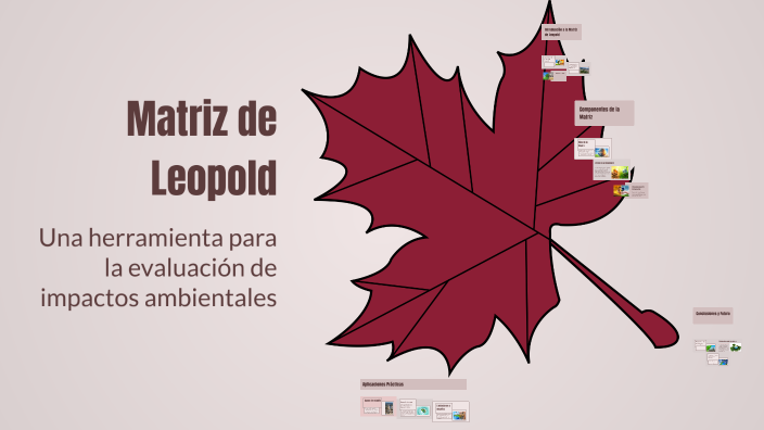 Matriz de Leopold by Jimmy Salazar on Prezi