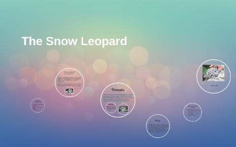 The Snow Leopards Diet by dana brown on Prezi