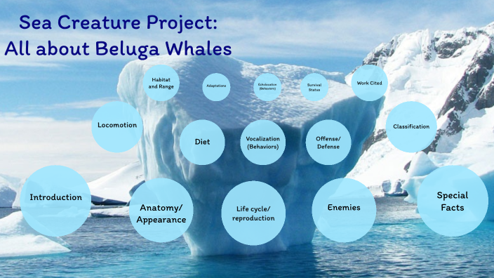 Sea Creature Project-Cameron by Cameron Troxel on Prezi