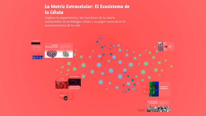 La Matriz Extracelular: El Ecosistema de la Célula by Lizbeth Jiseel ...