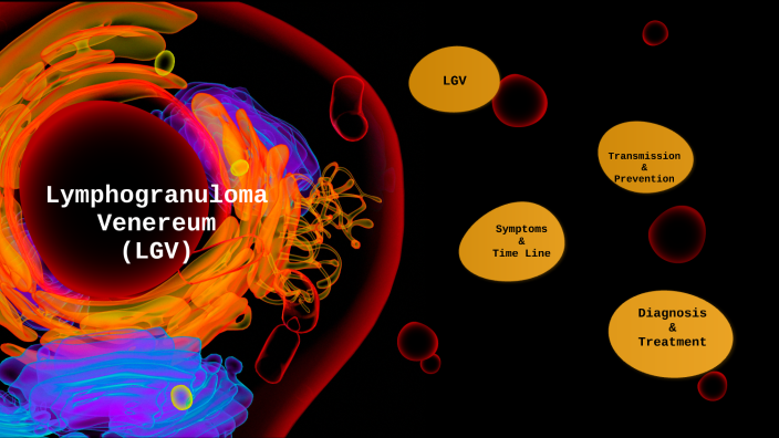 Lymphogranuloma Venereum by Riley Van Noy on Prezi