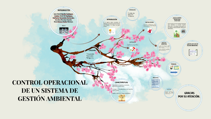CONTROL OPERACIONAL DE UN SISTEMA DE GESTIÓN AMBIENTAL by cristian ...