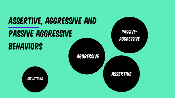 Assertive, Aggressive and Passive-Aggressive Behaviors by Elizabeth ...