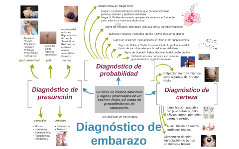 Diagnóstico de embarazo by Kriistell S on Prezi