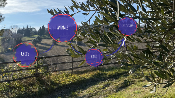 Our organic farm by Luca Carlini and Maria Daniela Muha by luca carlini ...