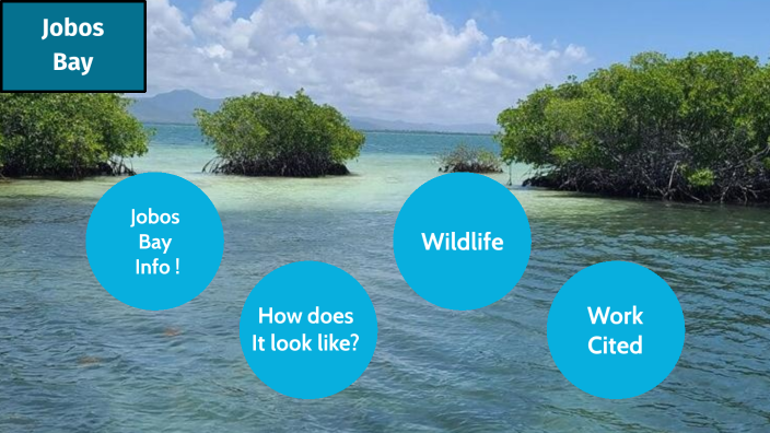 jobos bay by JULIANA ALANIS on Prezi