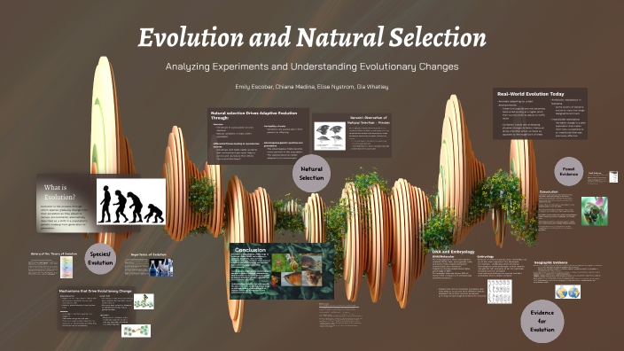 Evolution- Natural Selection by Emily Escobar on Prezi