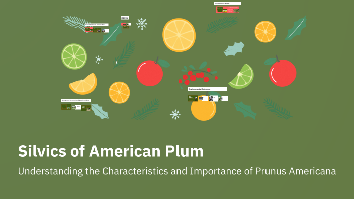 Silvics of American Plum by Zach Blevens on Prezi