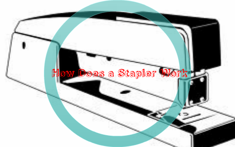 How Does a Stapler Work by Kai Van Hoven on Prezi