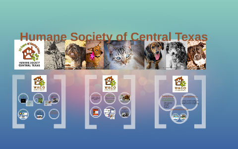 Humane Society of Central Texas by Lauren Roller on Prezi