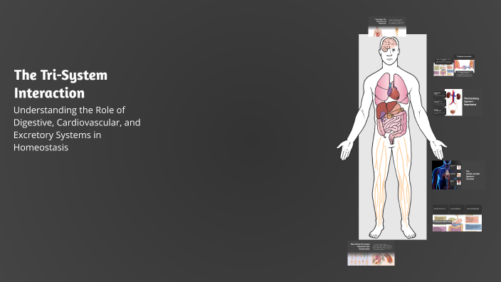 The Tri-System Interaction by QUINTON MINTZ on Prezi
