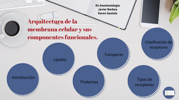 Arquitectura de la membrana celular y sus componentes funcionales. by ...