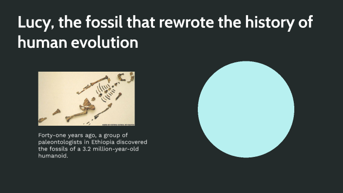 Lucy, the fossil that rewrote the history of human evolution by jimmy ...