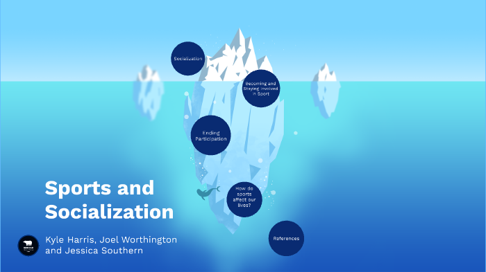 Chapter 3 - Sport & Socialization: Who Plays and What Happens to Them ...