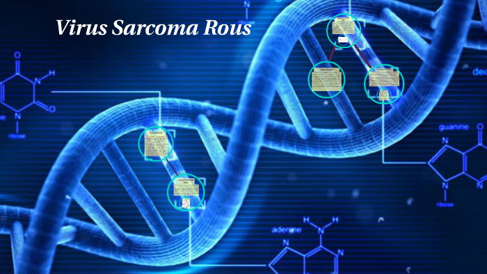 Virus Sarcoma Rous by Daniela scarleth Rojas Rivas on Prezi
