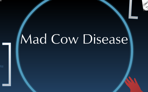 Mad Cow Disease by kevin veillard on Prezi