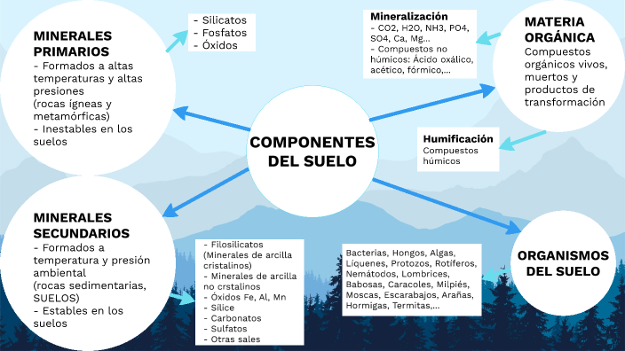 Componentes del suelo by Vicente Morales on Prezi