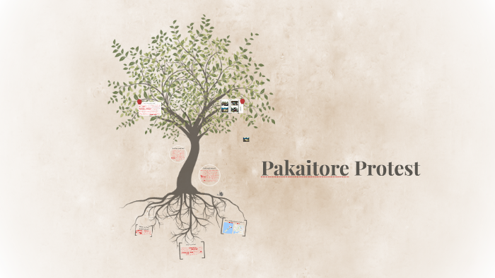 Pakaitore Protest by Anna Kelly on Prezi