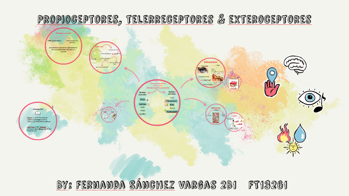 Propioceptores, telereceptores & exteroreceptores by Feer Sán Var on Prezi
