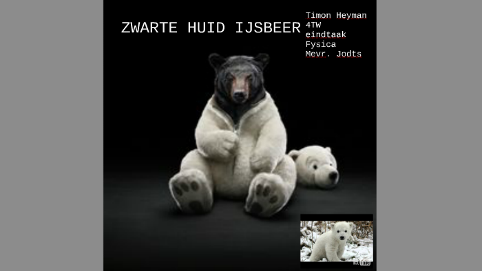 Zwarte huid ijsbeer by Timon Heyman on Prezi