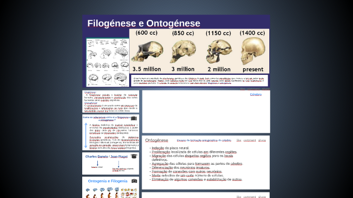 Filogénese e Ontogénese by Maria Chaves on Prezi