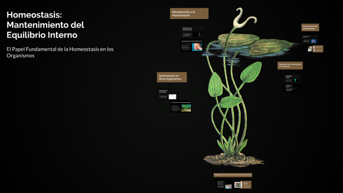 Homeostasis: Mantenimiento del Equilibrio Interno by Andrés_26 on Prezi